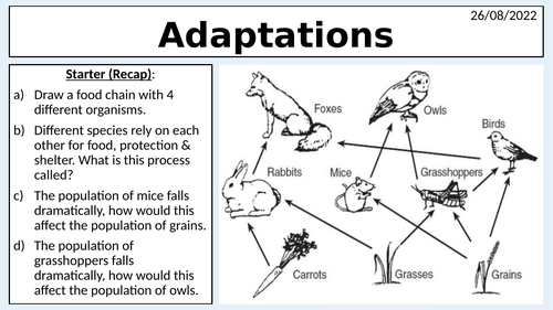 Adaptations, Levels of Organisation and Sampling Techniques (3 lessons ...