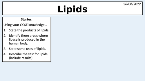 Y12 Monomers and Polymers, Carbohydrates, Lipids and Proteins (8 ...