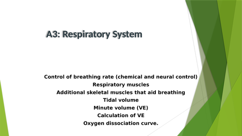 Unit 1: Exercise Physiology Respiratory System | Teaching Resources