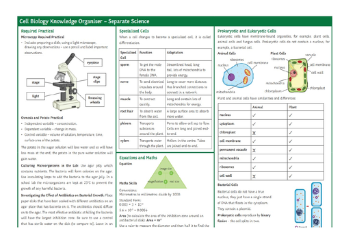 *CONCISE* biology GCSE thorough notes and practicals GRADE 9 MATERIAL ...