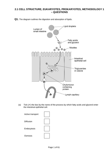 A level Biology - Cells COMPLETE Exam Q&A packs | Teaching Resources