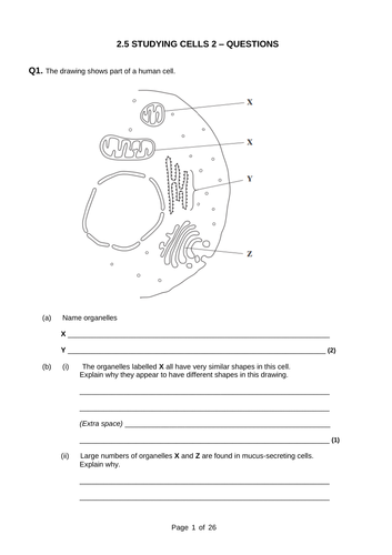 A level Biology - Cells COMPLETE Exam Q&A packs | Teaching Resources