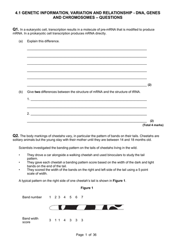 A level Biology - Genetic variation & Relationships- COMPLETE Exam Q&A ...