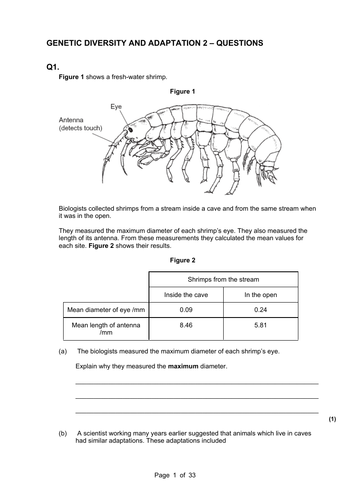 A level Biology - Genetic variation & Relationships- COMPLETE Exam Q&A ...