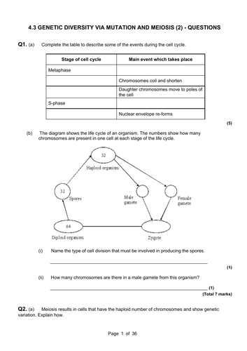 A level Biology - Genetic variation & Relationships- COMPLETE Exam Q&A ...