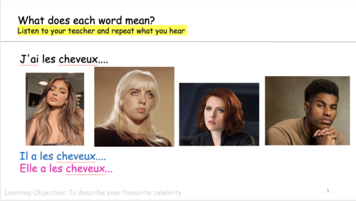 Hair + eyes | Les cheveux et les yeux | Teaching Resources