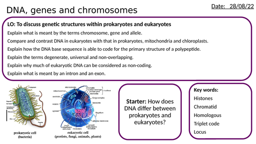 AS/A2-Level AQA Biology DNA, Genes and Chromosomes Full Lesson ...