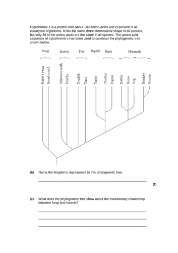 AS/A2-Level AQA Biology Biodiversity (within a community) Full Lesson ...