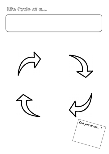 Year 5 Living Things and the Habitats Lesson 3 - Bird Life Cycles ...