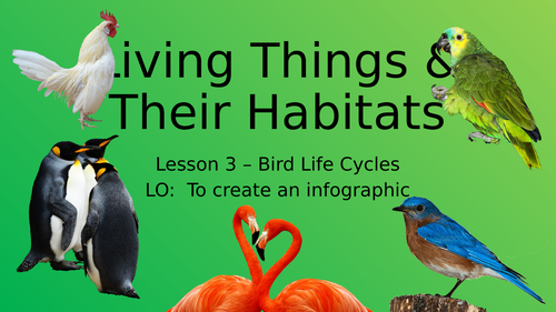 Year 5 Living Things and the Habitats Lesson 3 - Bird Life Cycles ...
