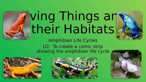 Amphibian Life Cycles Lesson with Differentiation - Year 5 Living ...