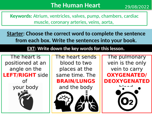 The Human Heart | Teaching Resources