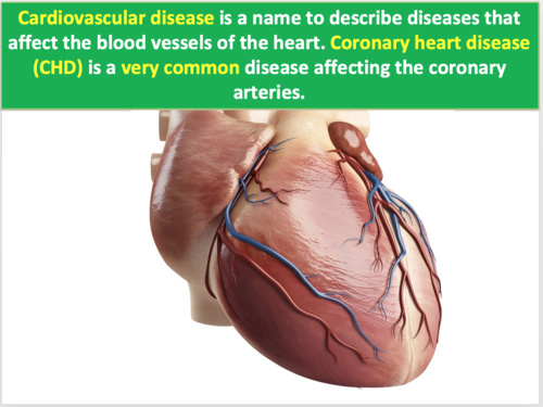The Human Heart | Teaching Resources