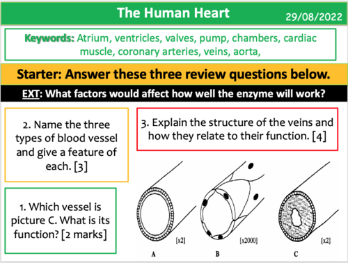 The Human Heart | Teaching Resources