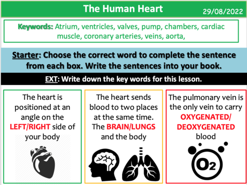 The Human Heart | Teaching Resources