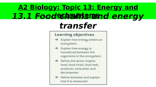 AQA A- level 13.1 - Food chains and energy transfer | Teaching Resources