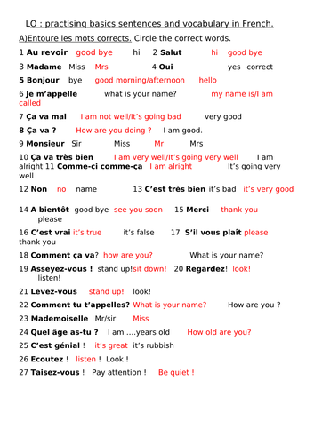 Basic French sentences to practise as a recap or introduction for total ...