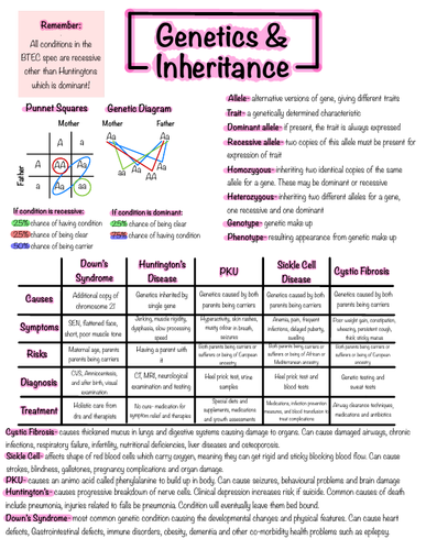 Biology Anatomy & Physiology revision posters for Homeostasis, Genetics ...