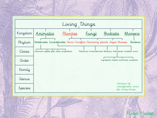 Science - Living things and their habitats scheme - The Nature Library ...
