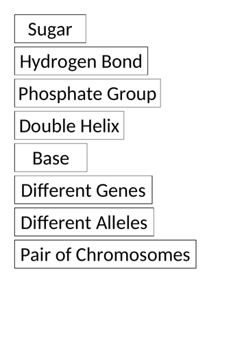 Genetics Science Display Board - Genetic Engineering/Clones/Chromosomes ...
