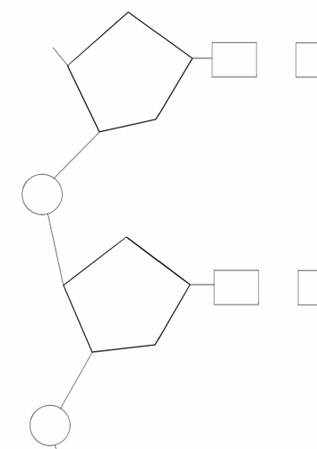 Genetics Science Display Board - Genetic Engineering/Clones/Chromosomes ...