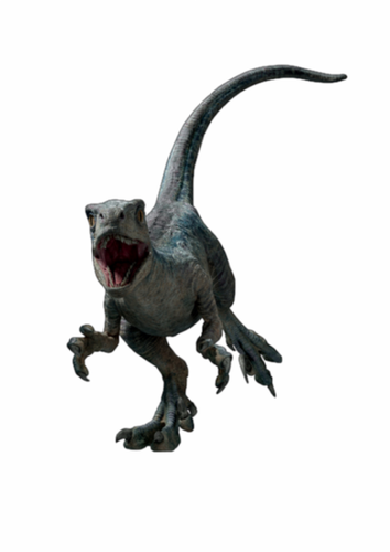 Genetics Science Display Board - Genetic Engineering/Clones/Chromosomes ...