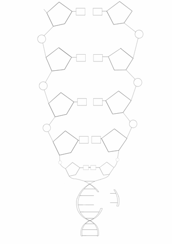 Genetics Science Display Board - Genetic Engineering/Clones/Chromosomes ...