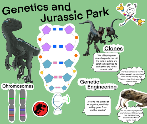Genetics Science Display Board - Genetic Engineering/Clones/Chromosomes ...