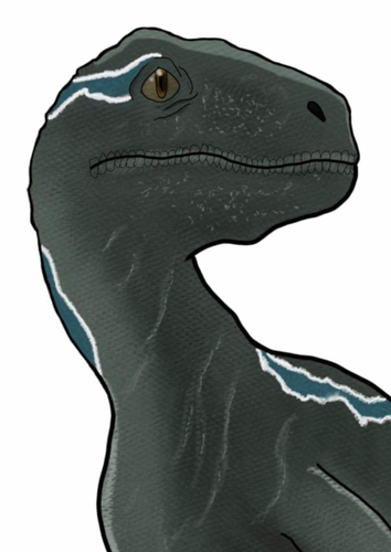 Genetics Science Display Board - Genetic Engineering/Clones/Chromosomes ...