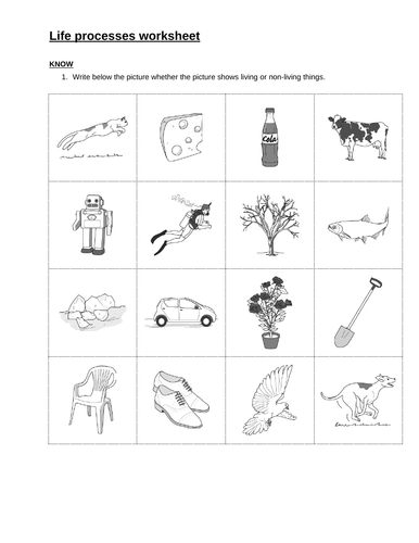 Characteristics of living organisms | Teaching Resources