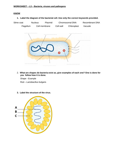 L3 – Bacteria, viruses and pathogens | Teaching Resources