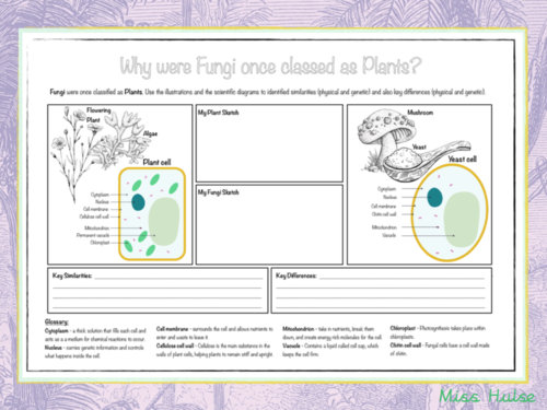 Science - Living things and their habitats scheme - The Nature Library ...