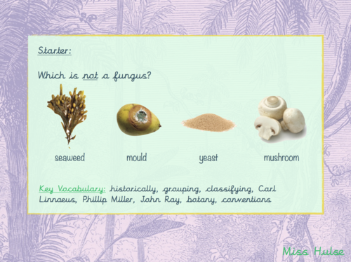 Science - Living things and their habitats scheme - The Nature Library ...