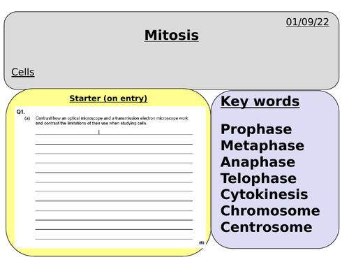 Mitosis (2 hours, contains required practical) - AQA - A Level ...