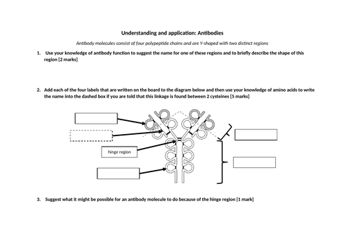 AS/A2-Level AQA Biology Antibodies Immune System Immunity Full Lesson ...