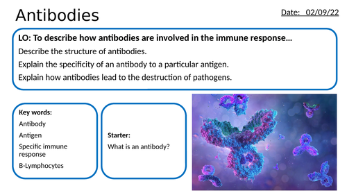 AS/A2-Level AQA Biology Antibodies Immune System Immunity Full Lesson ...