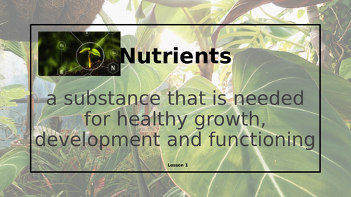 Science Vocabulary - Plants - Year 3 | Teaching Resources