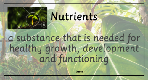 Science Vocabulary - Plants - Year 3 | Teaching Resources