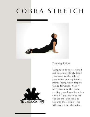 Cobra Stretch warm up/cool down exercise | Teaching Resources