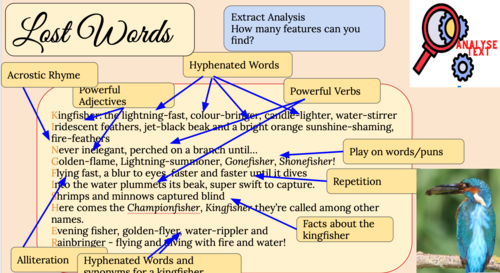 Poetry Lost Words Unit | Teaching Resources