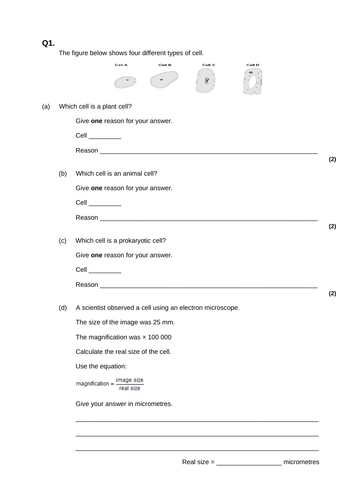 AQA Microscopes and magnification | Teaching Resources AQA Microscopes and magnification | Teaching Resources