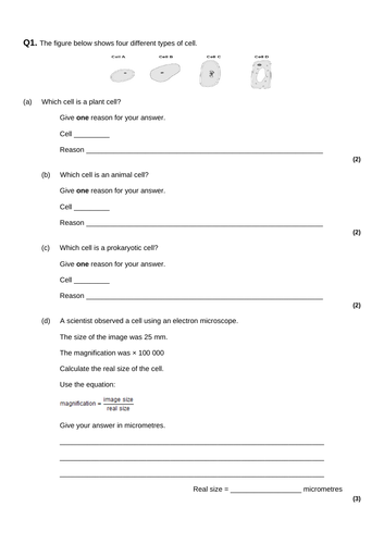 AQA Microscopes and magnification | Teaching Resources