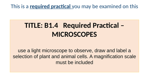 MICROSCOPES AND MAGNIFICATION INC RP | Teaching Resources