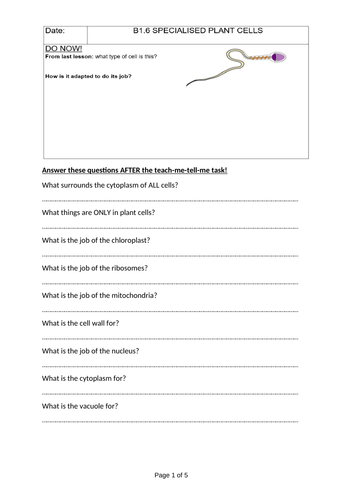 SPECIALISED PLANT AND ANIMAL CELLS | Teaching Resources