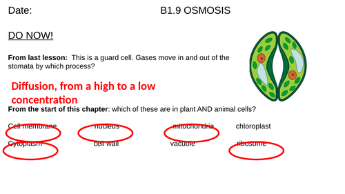 OSMOSIS AND RP FOR AQA GCSE BIOLOGY | Teaching Resources