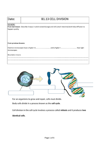 CELL DIVISION & STEM CELLS AQA GCSE | Teaching Resources