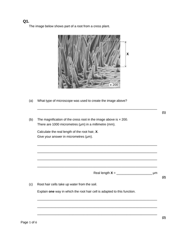 AQA 2.1 Calculating Magnification | Teaching Resources AQA 2.1 Calculating Magnification | Teaching Resources
