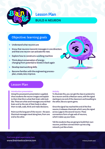 Build a Neuron Challenge (Primary: KS1 KS2) - by Braintastic! Science ...