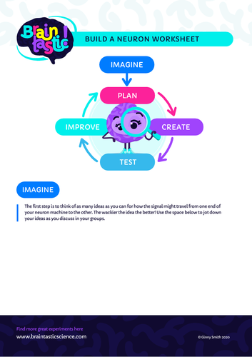 Build a Neuron Challenge (Primary: KS1 KS2) - by Braintastic! Science ...