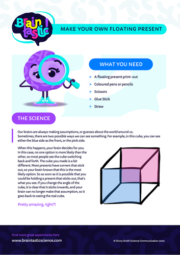 Visual Illusions Activity Pack (Primary: KS1 KS2) - by Braintastic! Science | Teaching Resources